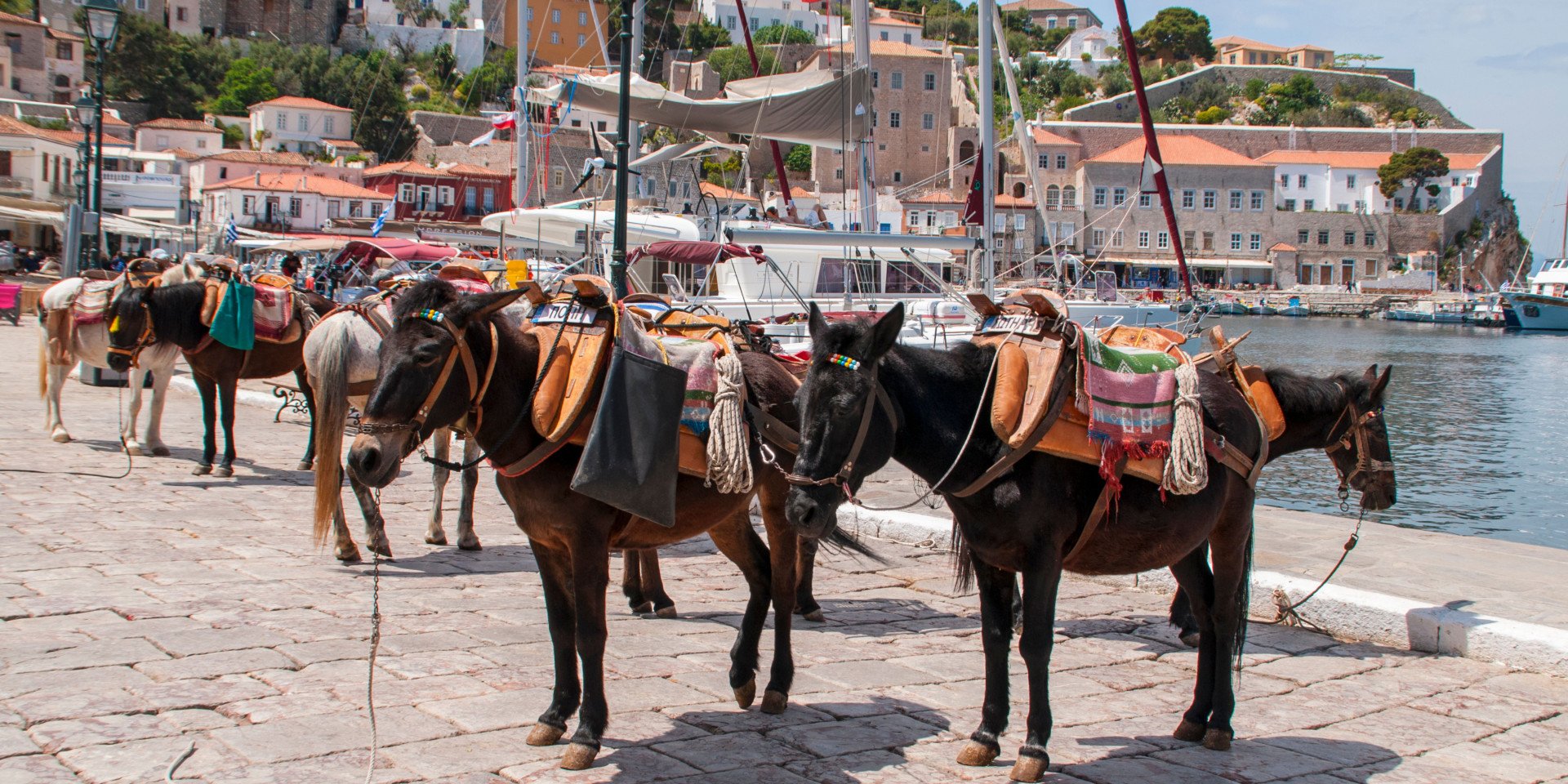 Day Trip from Athens: Discover Exciting Destinations | Athens Insiders - Private Tours in Greece